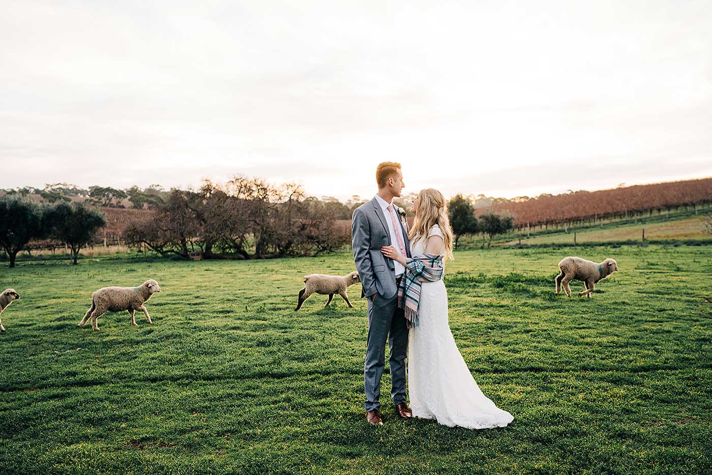 Amelia and Sam Wedding at White Hill Estate - Dani Bartlett Photography